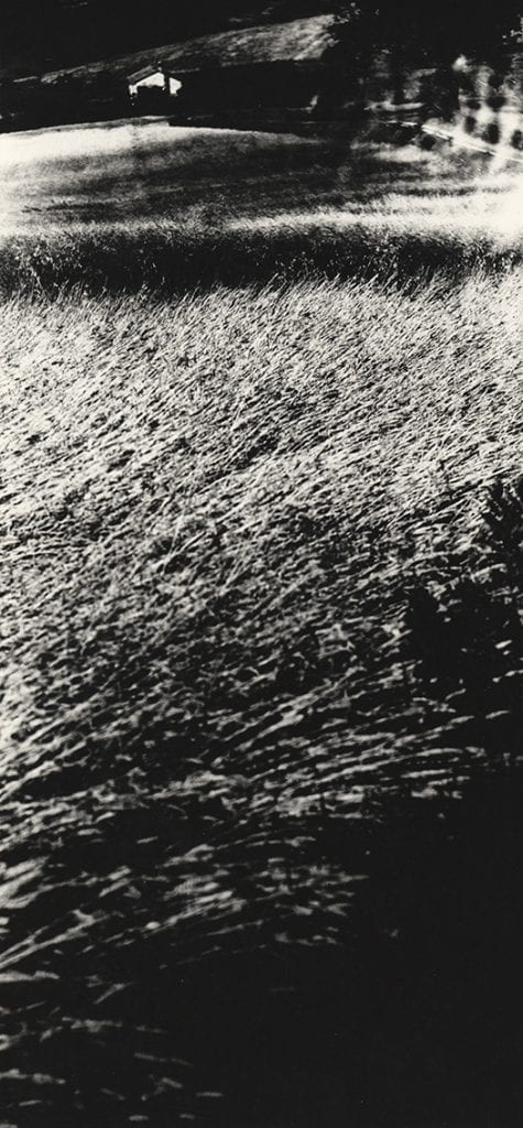 Primi Paesaggi, 1954/'60 - MARIO GIACOMELLI