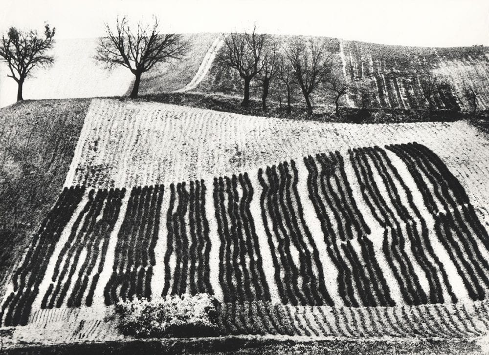 Early landscapes, 1954/'60 - MARIO GIACOMELLI
