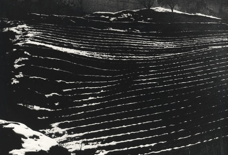 Primi Paesaggi, 1954/'60 - MARIO GIACOMELLI