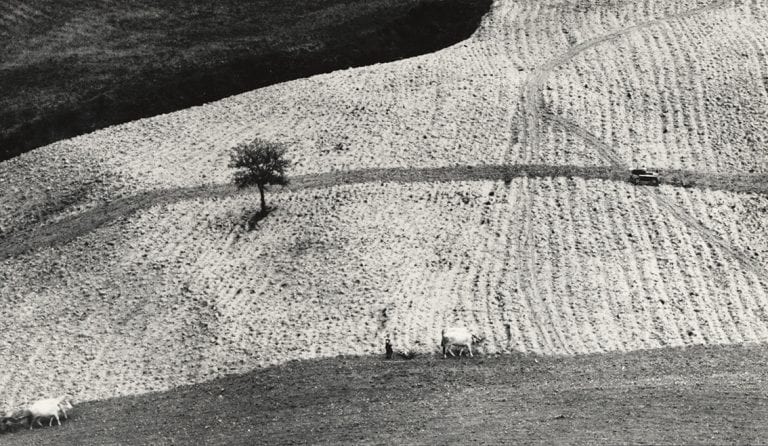Primi Paesaggi, 1954/'60 - MARIO GIACOMELLI