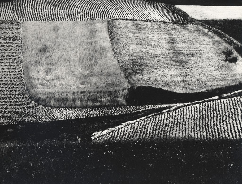 Primi Paesaggi, 1954/'60 - MARIO GIACOMELLI