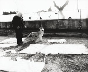 His work - MARIO GIACOMELLI