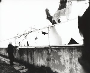 His work - MARIO GIACOMELLI