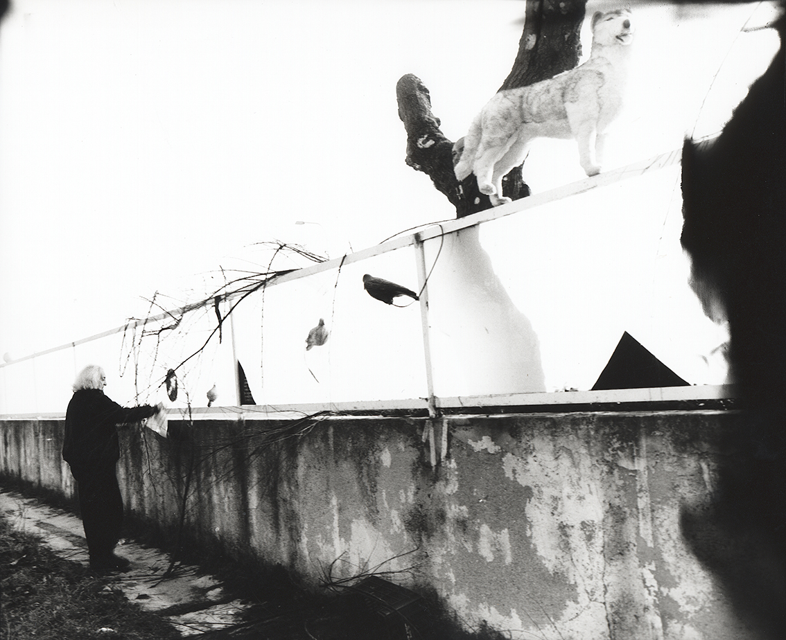 La sua opera - Archivio Mario Giacomelli